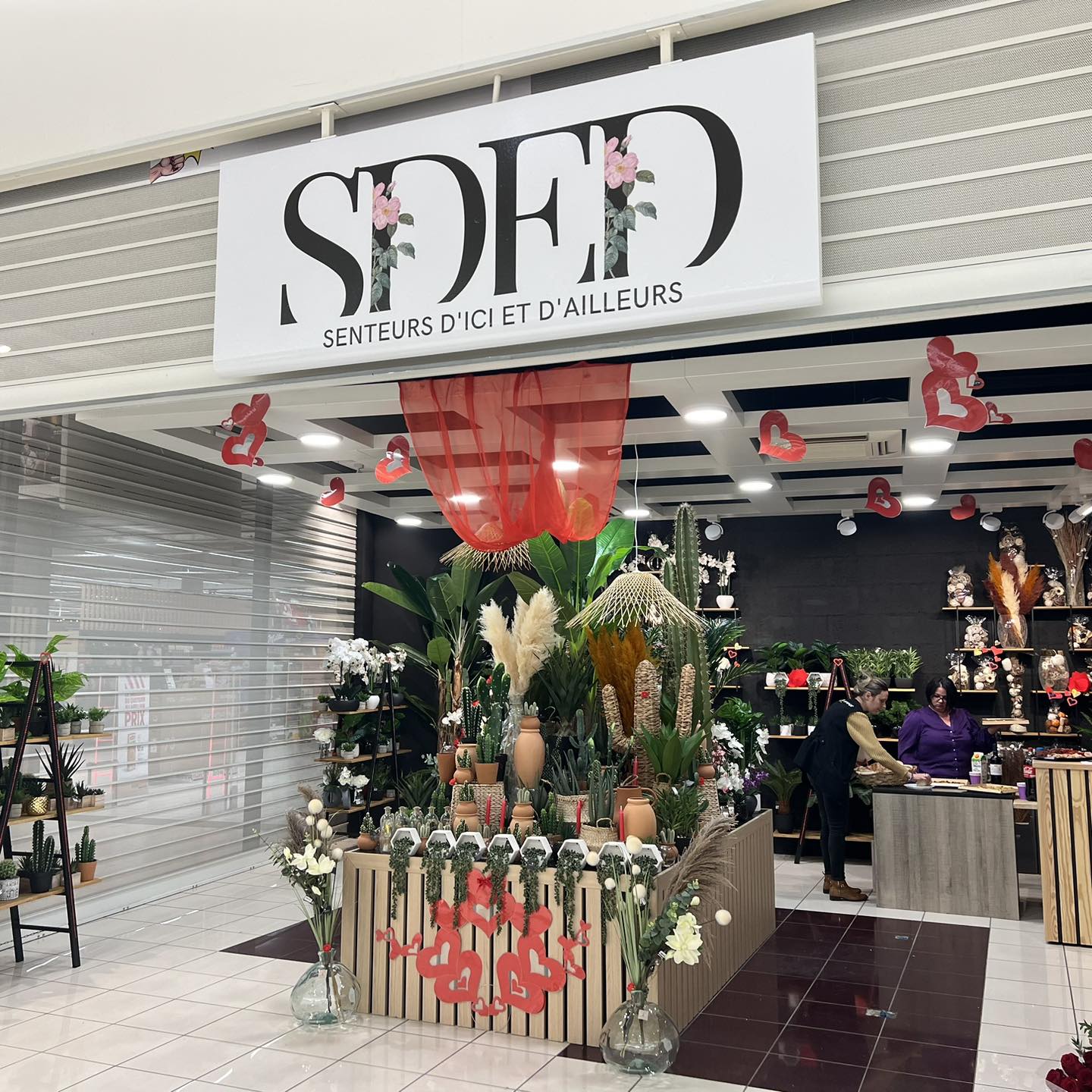 Ouverture de la boutique SDED